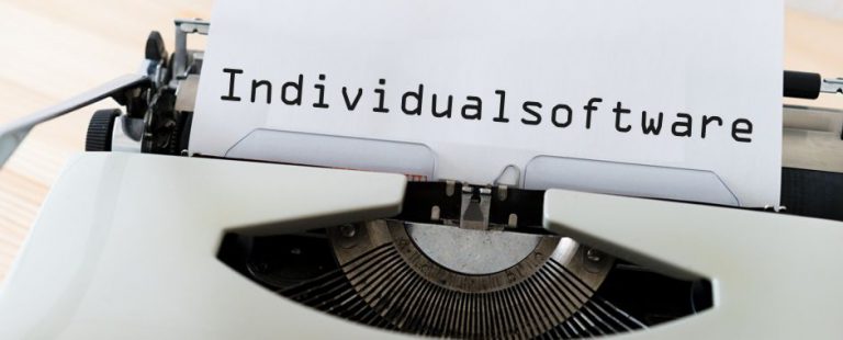Standardsoftware oder Individualsoftware?